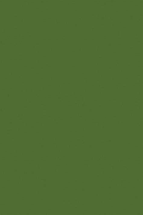 Green Grass Solid Color Peel And Stick Wallpaper Or Non Pasted