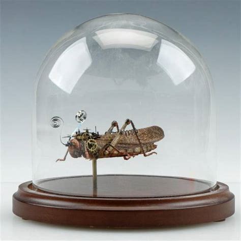 Cyberpunk Grasshopper Specimen Orthoptera Tropidacris Dux 0543 On