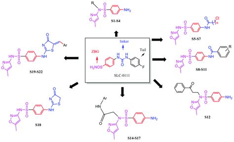 The Main Structural Features And Similarity Of Novel Design H Ca Ix And Download Scientific