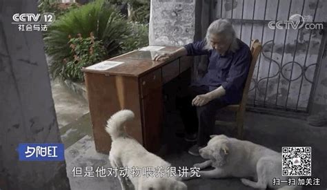白发老兵守了这个中国最孤独的动物园32年：值得吗？ 知乎