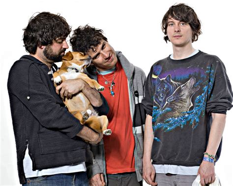 Deakin Animal Collective