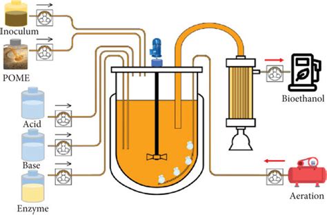 Diagram Of A Single Reactor Bioethanol Production Process Download Scientific Diagram