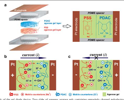 Figure 1 From Polyelectrolyte Diode Nonlinear Current Response Of A