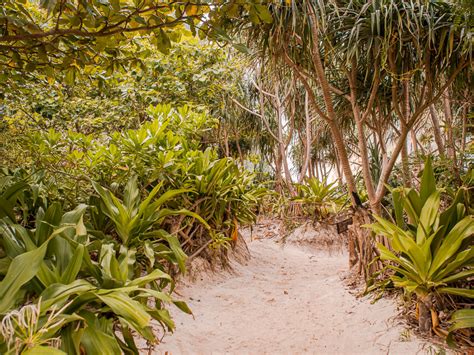 Ko Phi Phi Leh Dollstravels