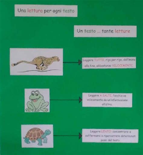 Rappresentazione Dei Tipi Di Lettura Download Scientific Diagram