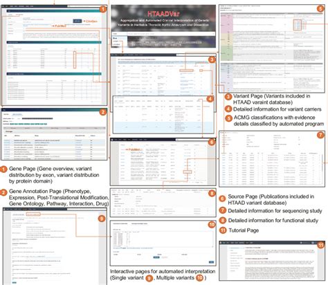 web interface of htaadvar the gene page variant page and source page