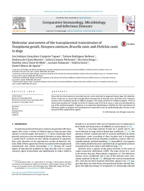 Pdf Molecular Assessment Of The Transplacental Transmission Of Toxoplasma Gondii Neospora