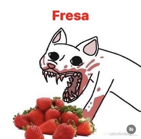 Pin De Mayra En Memes En 2024 Garabatos Lindos Dibujos Bonitos