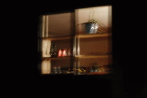 Window GIF Window Discover Share GIFs