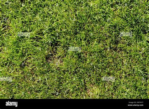 Football Lawn Soccer Closeup Detail Wallpaper Texture Green Football