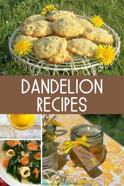 11 Easy Dandelion Recipes Foraging Greens And Dandelions