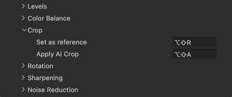 Ai Crop 6 Capture One Pro Tutorials Styles Courses Books