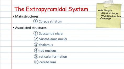 Extrapyramidal System Parkinsons Disease