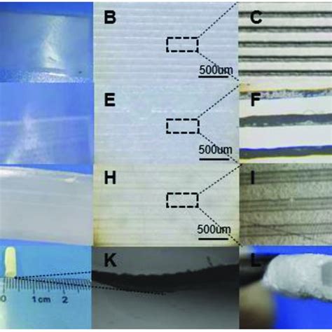 Artificial Blood Vessel Size And Film Structure A Is The Ppdo