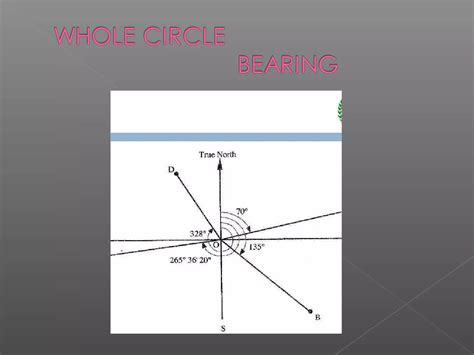 Surveying And Prismatic Compass Survey Ppt