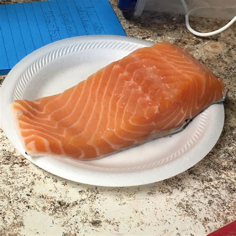 Found Some Prime Fish Meat Gonna Cook It Before I Spoils R ARK