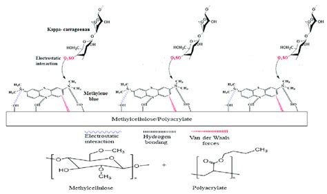 Schematic Representation Of A Chemical Reaction Between A Cationic