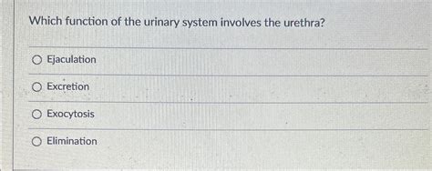 Solved Which Function Of The Urinary System Involves The Chegg Com