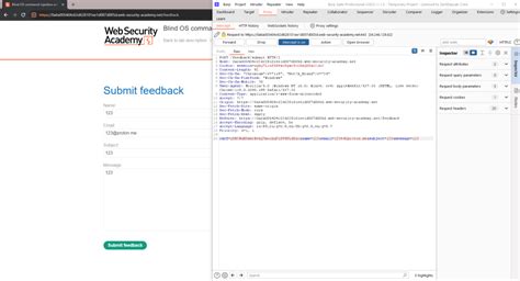 Wiki Blind Os Command Injection Cqr