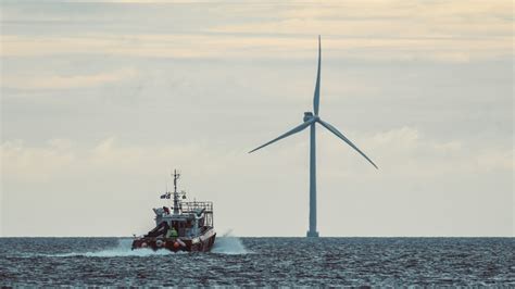 Rwe National Grid Jv Begins New York Bight Survey Work Offshore Wind