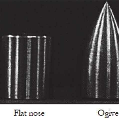 Different Forms Of The Projectile Nose 10 Download Scientific Diagram