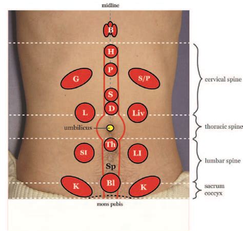 Figure 1 From Yamamoto New Scalp Acupuncture Ynsa Development