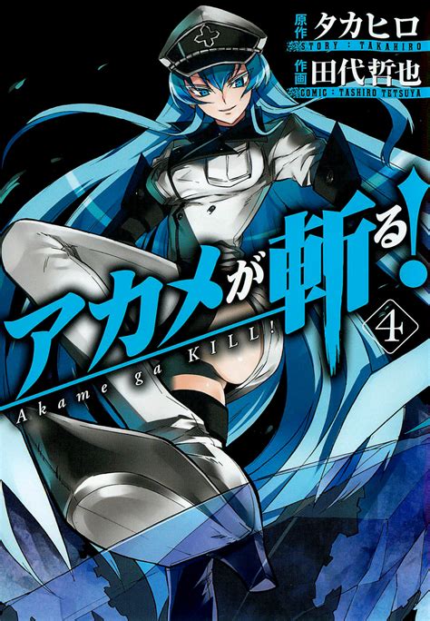 Esdeath Akame Ga Kill Drawn By Tashirotetsuya Danbooru