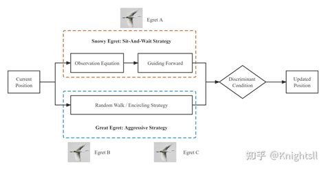 白鹭群优化算法egret Swarm Optimization Algorithm 知乎