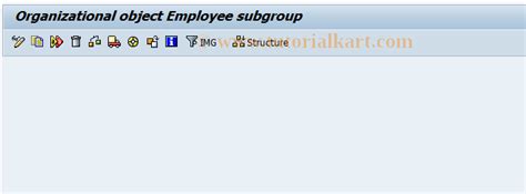 EC12 SAP Tcode Organizational Object Copier Employee Subgroup