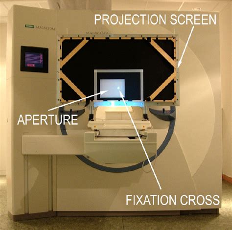 Figure 1 From Allocentric Spatial Judgements By Re Mapping Egocentric