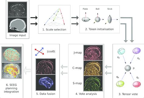 Vessel Extraction Diagram After Optimal Scale Selection Images Are Download Scientific