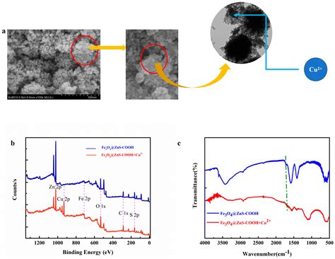 A Multifunctional Magnetic Fluorescent Nanoprobe For Copper Ii Using Zns Dl Mercaptosuccinic