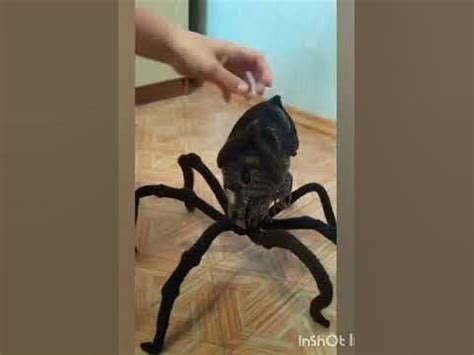 игрушка домоголовый монстр Тревора Хендерсона plush toy House head ...