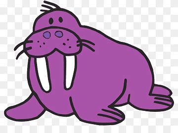 Walrus Png Images Pngwing