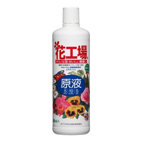 セダムの育て方は？肥料や用土・水やりなど、地植えでグランドカバーにできる多肉植物セダムの栽培方法 Garché
