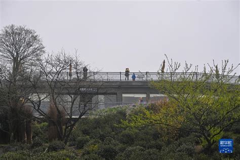 浙江富阳：乡村人才“回流引流”助推美丽山乡新业态发展 图片中国中国网