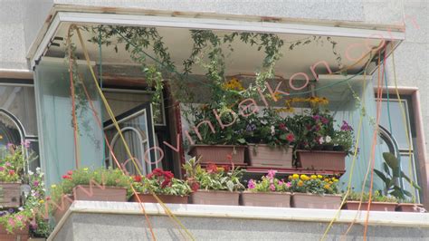 طراحی واجرای گلخانه های شیشه با دیواره های متحرک Iran