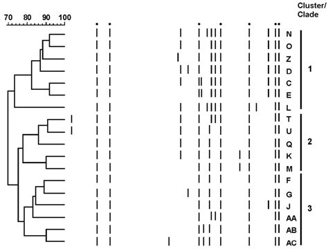 Dendrogram Of Is901 Rflp Types After Digestion With Restriction