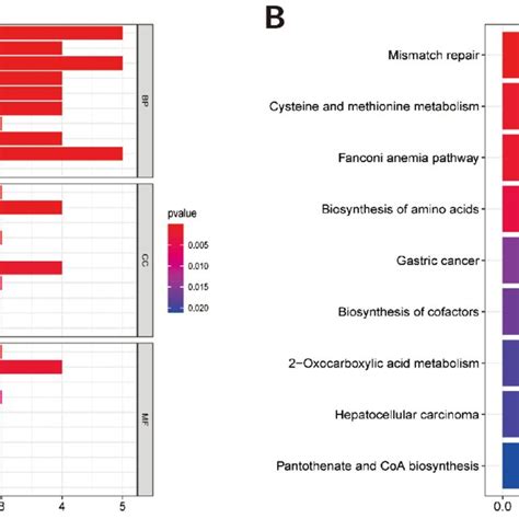 The Co Expressed Genes Of The Masp1 Gene Were Analyzed There Were 30 Download Scientific