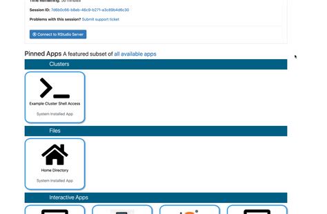 Preset Pinned Apps Optional Redirect To Dashboard Issue Osc