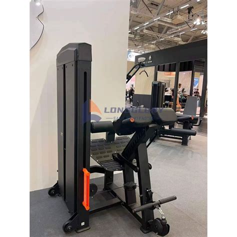 Pin Loaded Back Extension Manufacturers And Suppliers China Factory