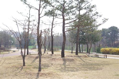 문암생태공원 바베큐시설 이용안내 강아지 동반 가능 네이버 블로그