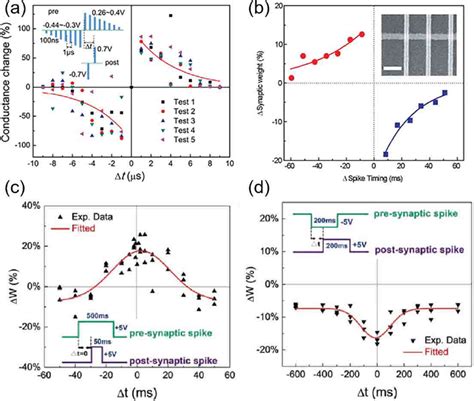 A Asymmetric Stdp Using Taox Based Memristors Reproduced With