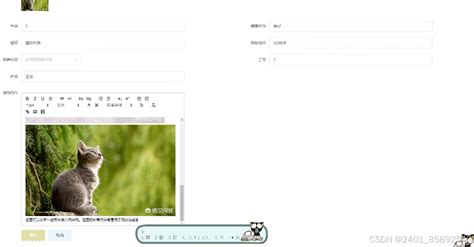 基于nodejsvue宠物救助管理系统的设计与实现 程序论文开题 计算机毕业设计 Csdn博客