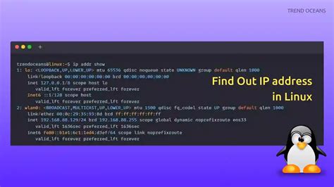Ways To Find Out Your Ip Address In Linux Artofit