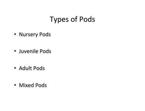 Social Hierarchy Of Atlantic Bottlenose Dolphins Tursiops Truncatus Cape May Whale Watch