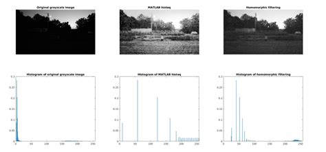 基于MATLAB的数字图像处理 图像进行灰度化 matlab灰度图像处理 CSDN博客