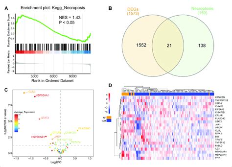 A Differential Expression Of Necroptosis Related Genes In Heart
