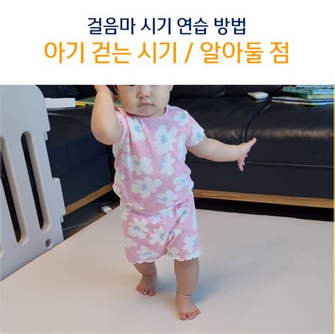 걸음마 시기 아기 걷는 시기와 걸음마 연습 알아둘 점 네이버 블로그
