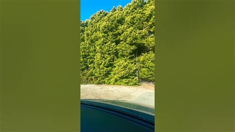 ගුගල් මැප් දාගෙන ගිහින් අන්තිමට නැවතුන තැන 😬🤦‍♂️🇦🇺 Youtube